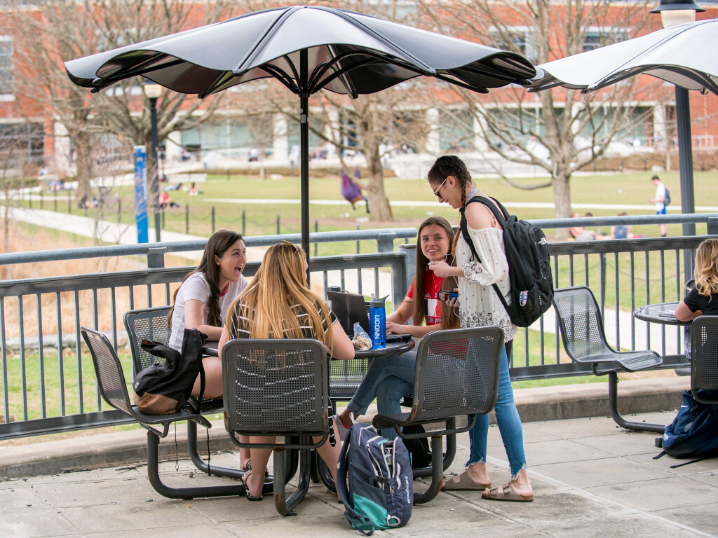 Contact Us | UConn Honors Program